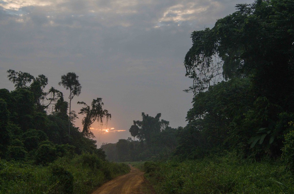 Gabon Travel : Resources and Recommendations for Planning your Visit ...