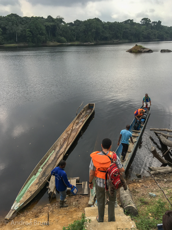 Trip to Ivindo National Park in Gabon | ATGabon