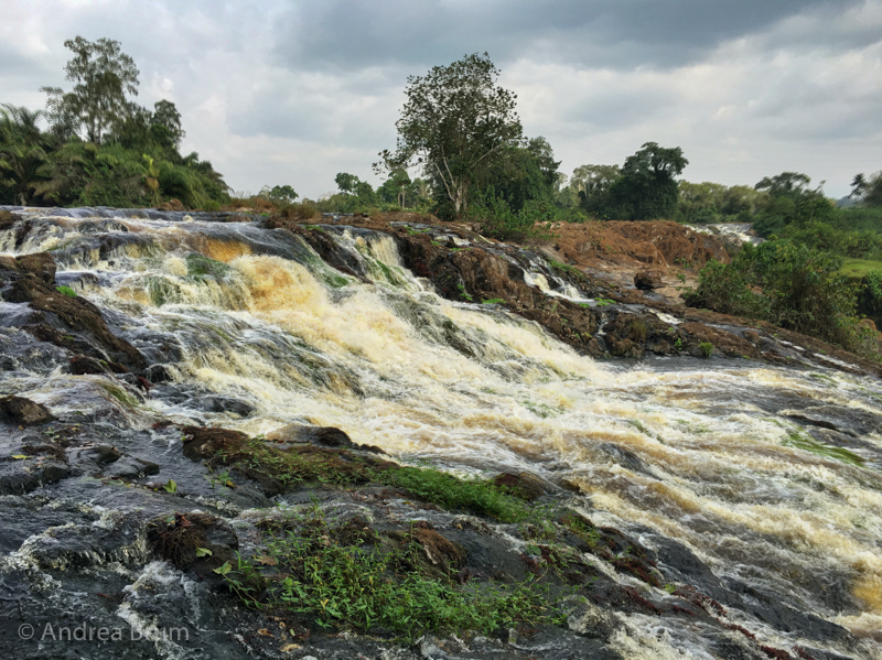 Trip to Ivindo National Park in Gabon | ATGabon