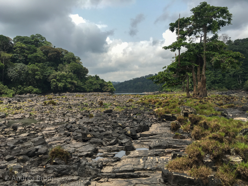 Trip to Ivindo National Park in Gabon | ATGabon