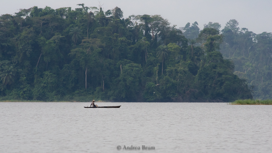 Gabon Road Trip. Gamba - Lope National Park | ATGabon