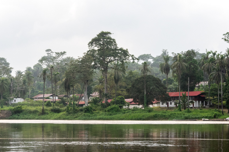 Gabon Travel : Resources and Recommendations for Planning your Visit ...