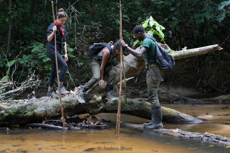 Gabon Road Trip. Lope National Park | ATGabon