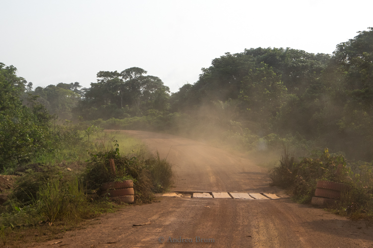Gabon Road Trip. Assiami Vineyard - Leconi | ATGabon