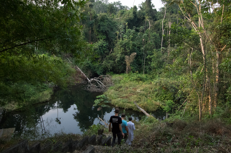 Gabon Road Trip. Assiami Vineyard - Leconi | ATGabon