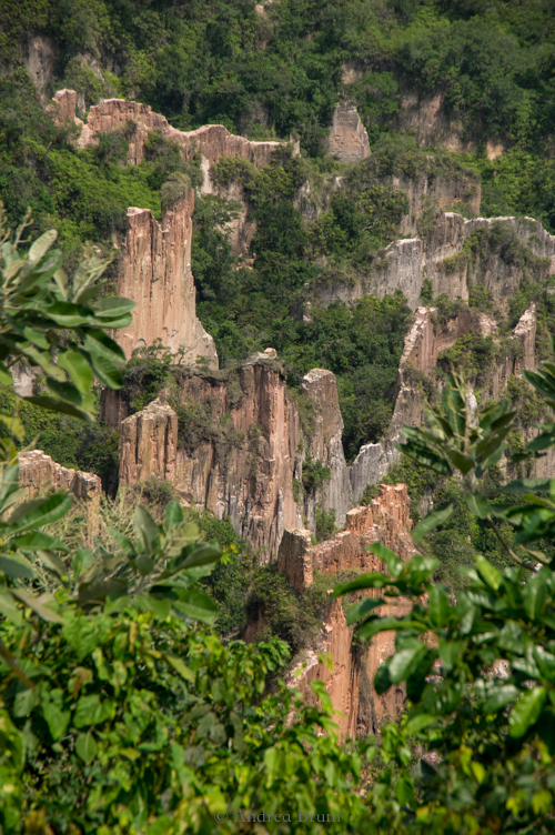 Gabon Road Trip. Assiami Vineyard - Leconi | ATGabon