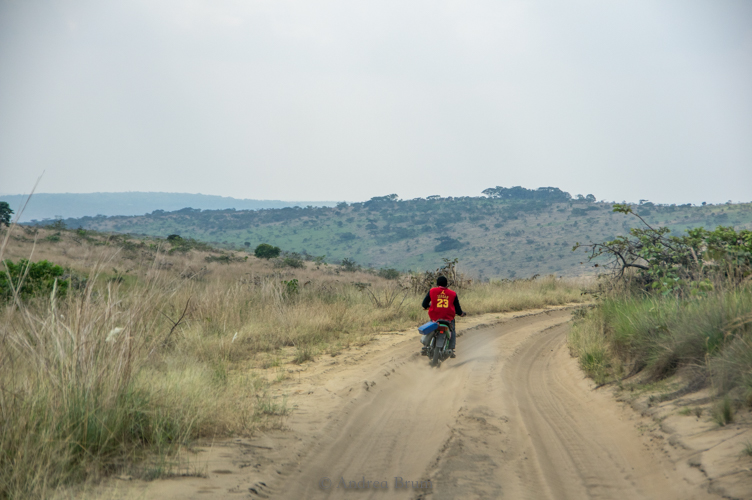Gabon Road Trip. Assiami Vineyard - Leconi | ATGabon