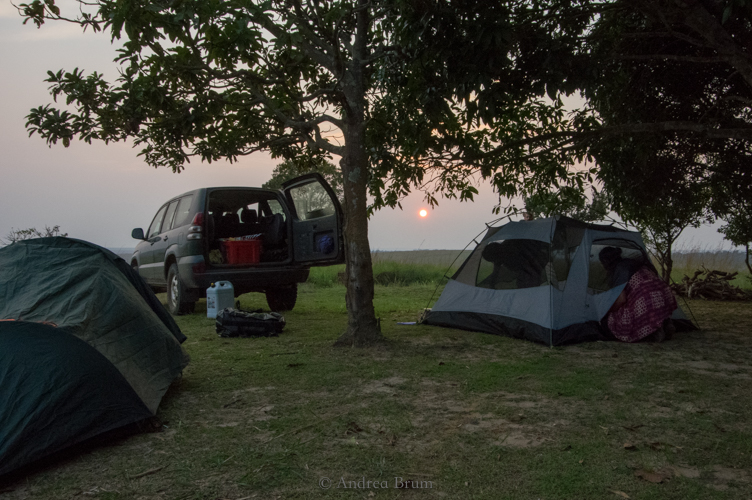 Gabon Road Trip. Assiami Vineyard - Leconi | ATGabon